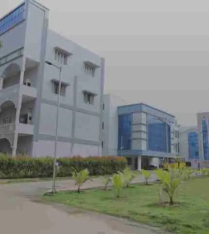 Curriculum and Syllabus
